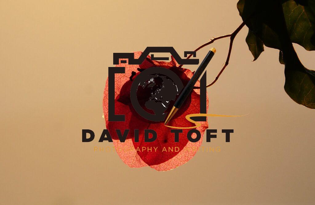 Morning - David Toft